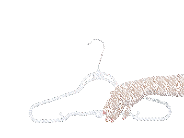 Closet Organization And Storage | Gia Hanger