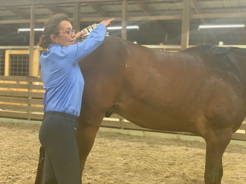 What Does it Really Mean to 'Engage' the Hind End