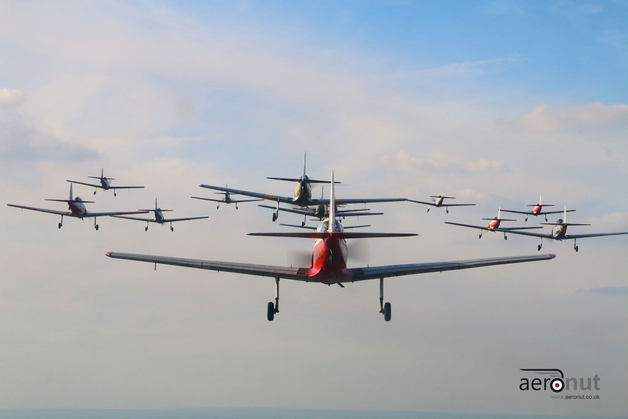 Review: Robin Koh 1/32 de Havilland DHC-1 Chipmunk - Page 3 - LSP ...