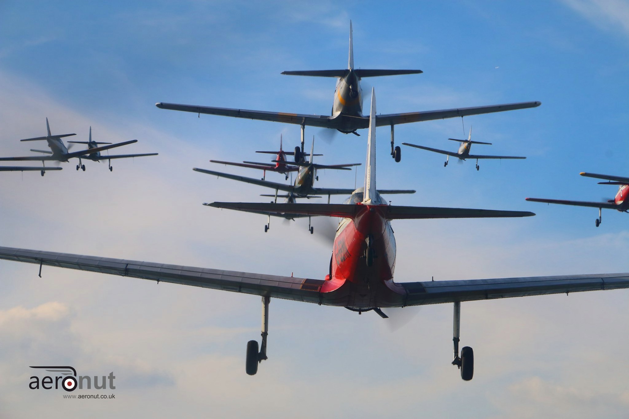 Review: Robin Koh 1/32 de Havilland DHC-1 Chipmunk - Page 3 - LSP ...