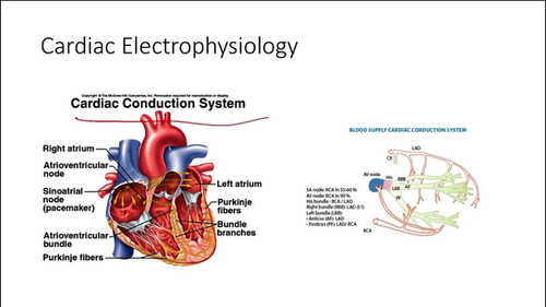 Consultant , Cardiac Electrophysiology | pearson-prometric