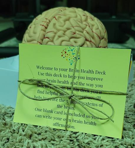 Brain Health Deck | SustainaBrain