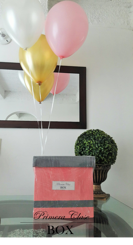 Party BOX | Primera Clase Box