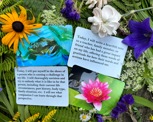 Kind Card Deck ~ Positive Action Cards | Spirit Guidance