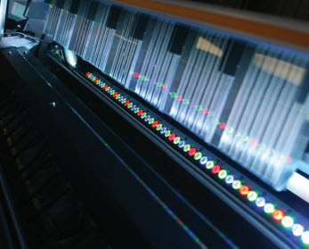 Leading industry standard through optical sorting. | White Bros Grain
