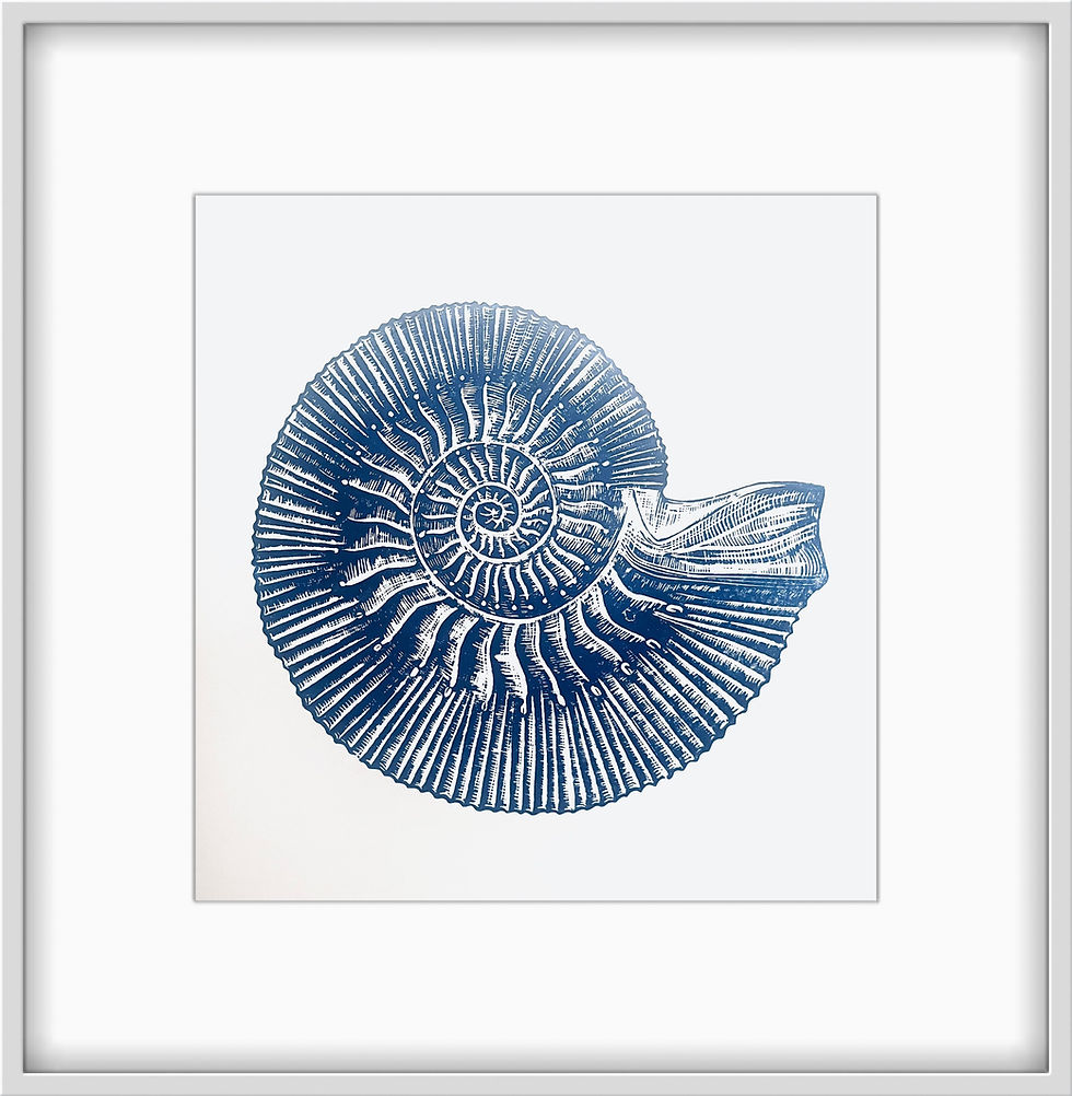 Sea life Linocut Prints | Marine | Amy Cundall Art