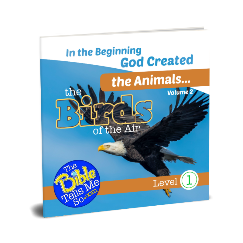In the Beginning God Created the Animals - The Birds of the Air | TBTMS ...