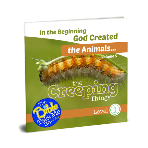 In the Beginning God Created the Animals - The Creeping Things | TBTMS ...