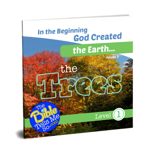 In the Beginning God Created the Earth - The Trees | TBTMS ENGLISH