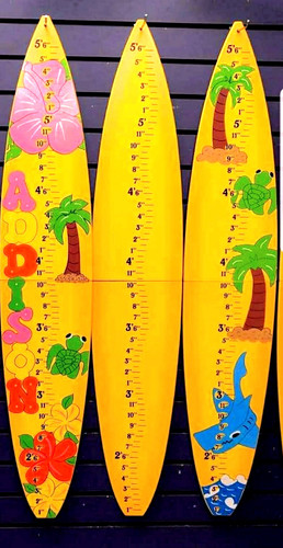 5'6" Folding Surfboard GrowthChart