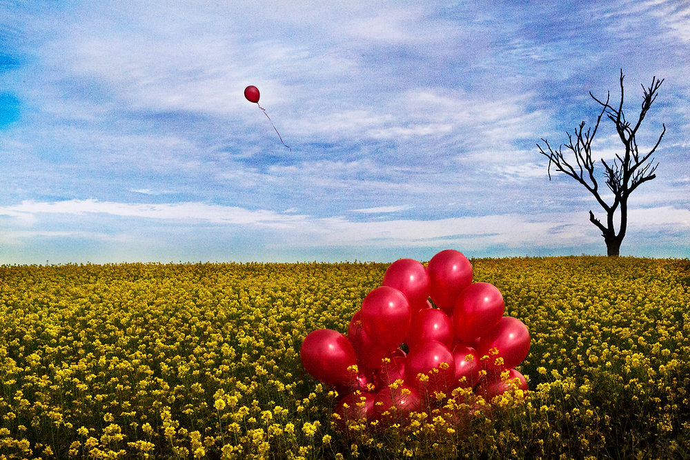 The Freeling Hotel - now showing!