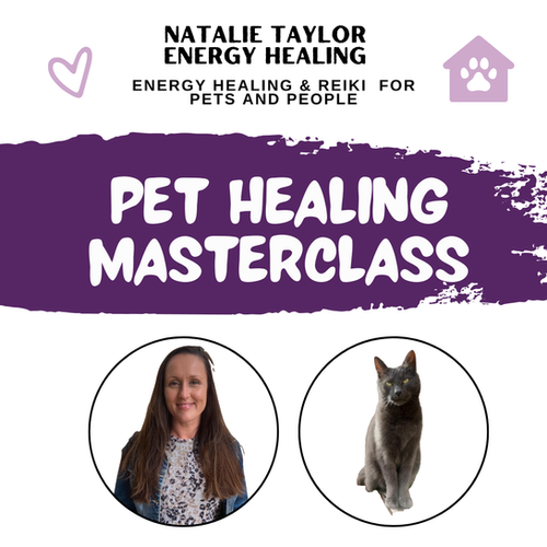 FREE Pet Healing Masterclass | NatalieTaylorHealing