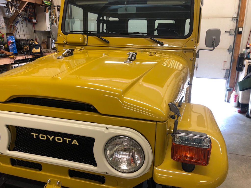 Sold - The Delta Mini Cruiser