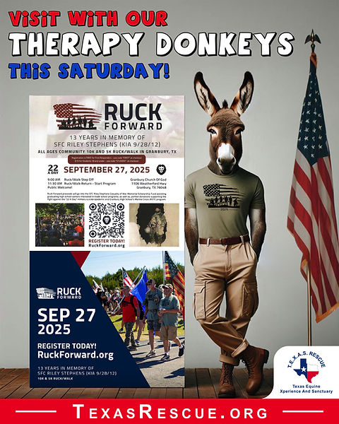 Home | T.E.X.A.S. Rescue | Granbury, TX