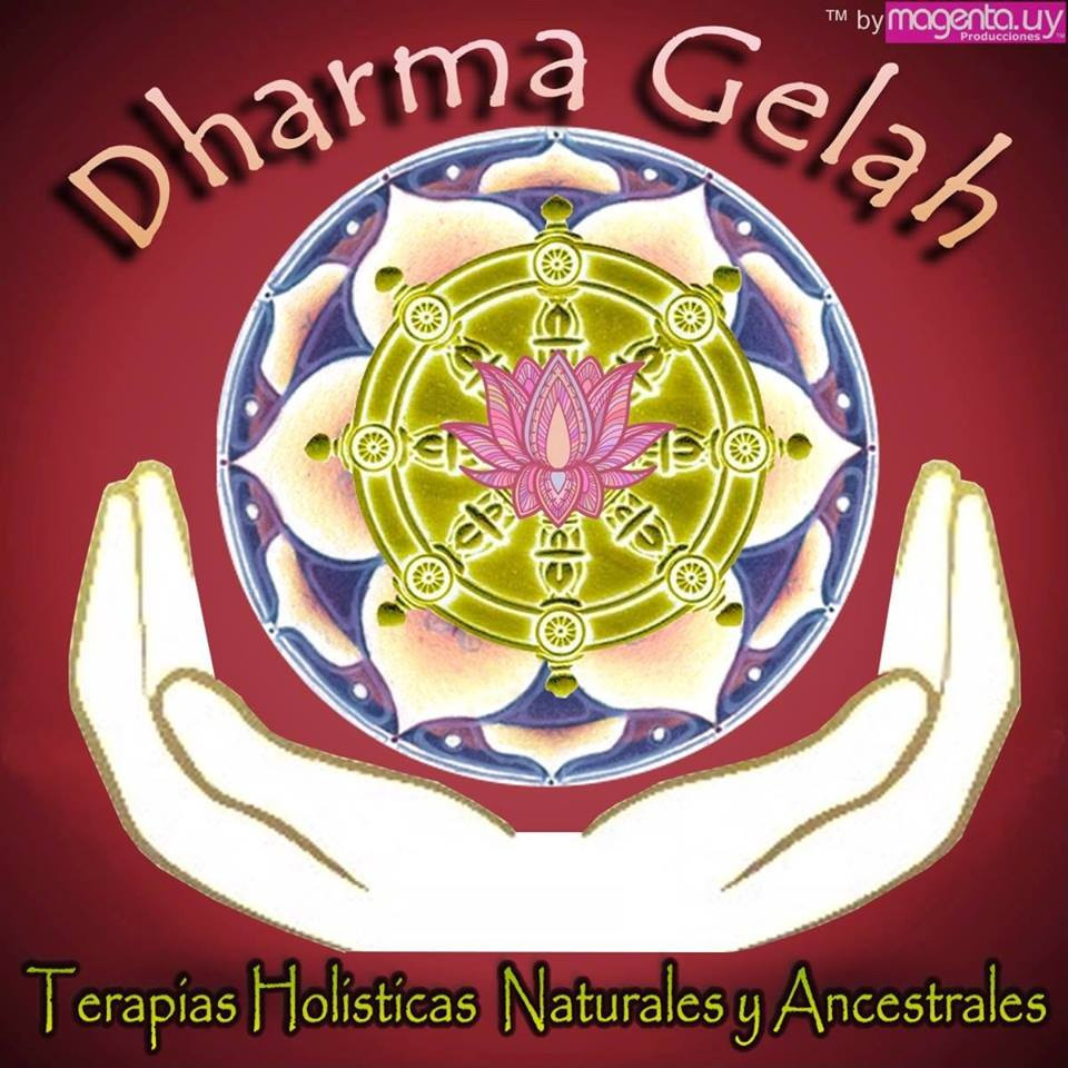 Cyclocomputer Echo J7 Manual !!TOP!! | Profile