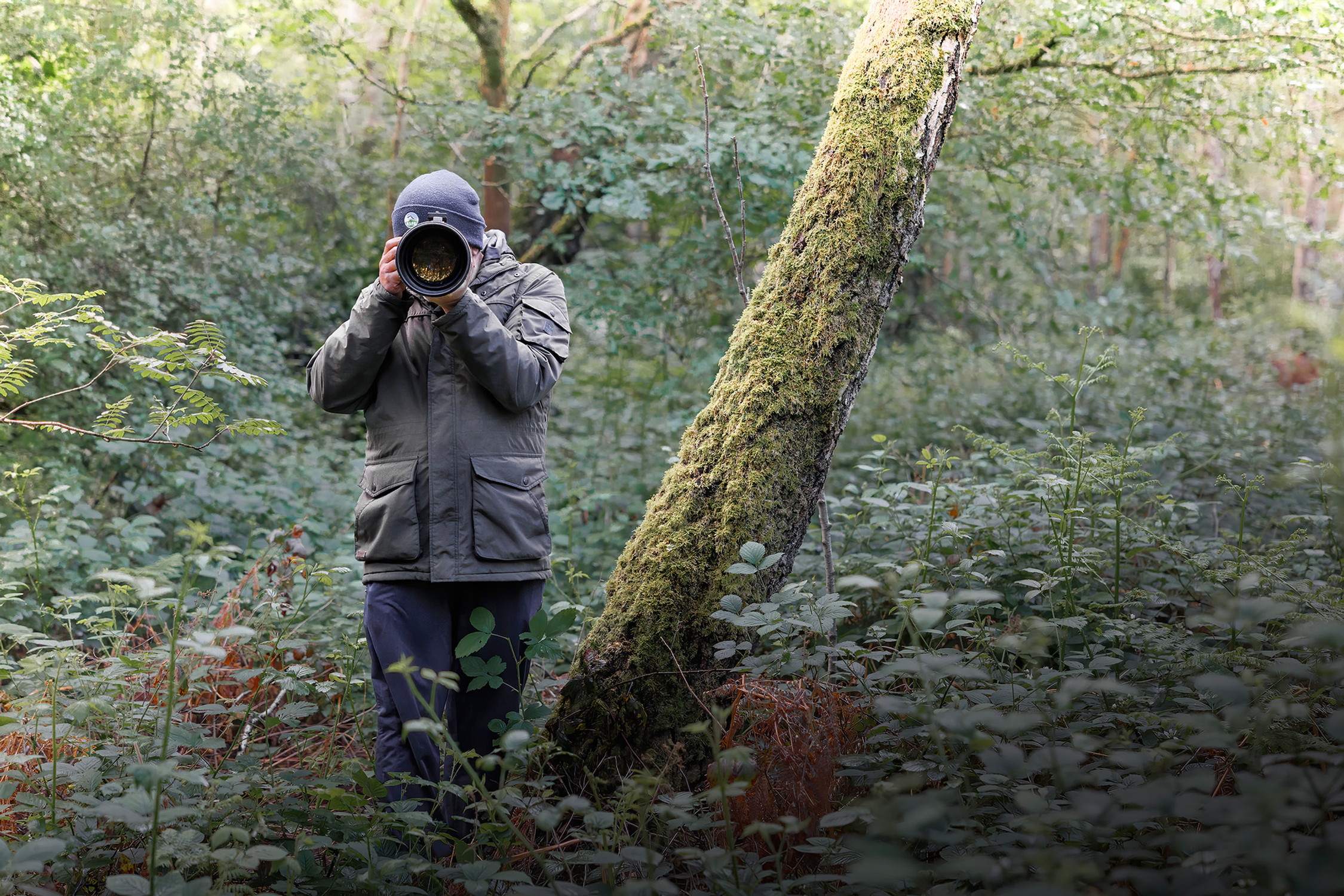 Full Day Wildlife Photography Workshop