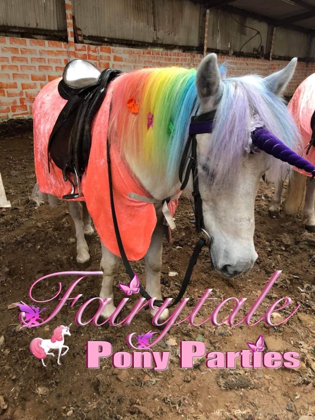 UNICORN RIDING | fairytaleparties