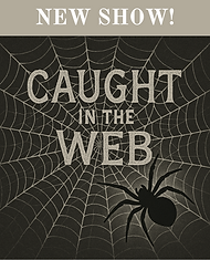 caught in the web