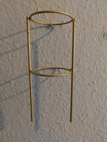 A 4" x 2 Ring x 10"/25cm High Plant Surround Support in a Gold Finish ...