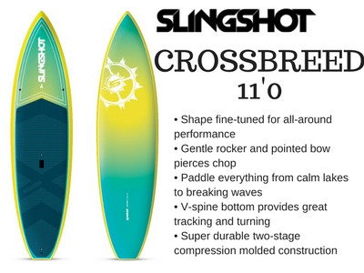 Waterman Blue Wave Surf Shop Grand Cayman