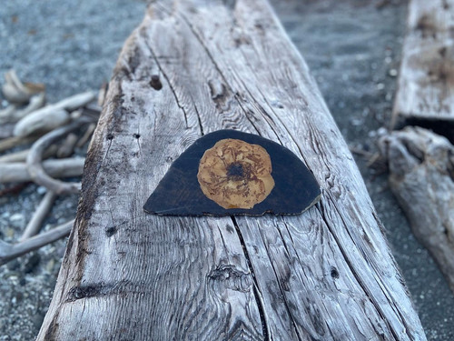 Yellow Rose Mount | Plants By Poppy