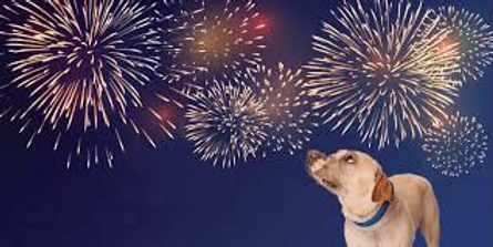 Furry Friends & Fireworks
