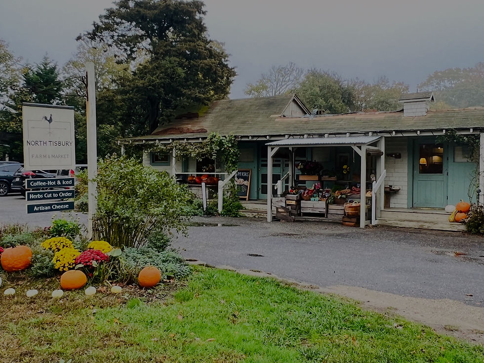 2024 | North Tisbury Farm