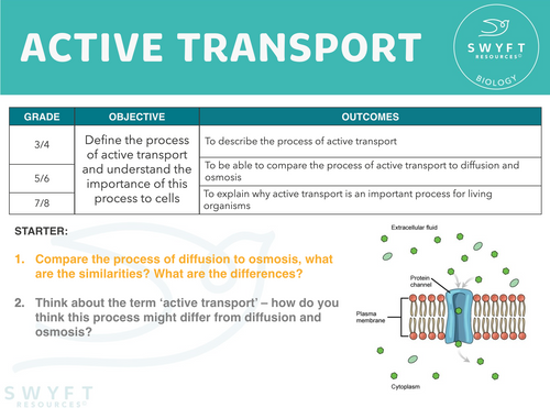 ACTIVE TRANSPORT (CELLS) | Swyft resources