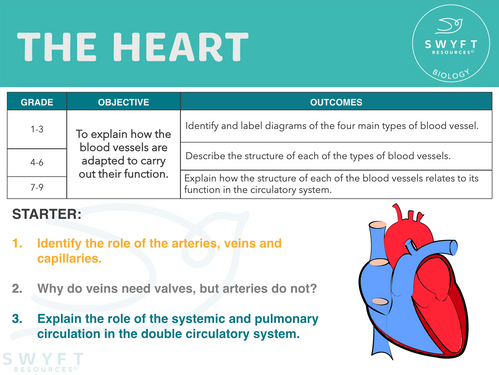 THE HEART - ORGANISATION | Swyft resources