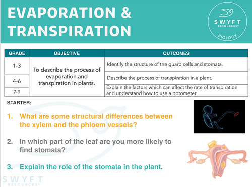 EVAPORATION & TRANSPIRATION - ORGANISATION | Swyft resources