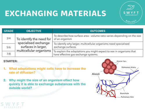 EXCHANGING MATERIALS - CELLS | Swyft resources