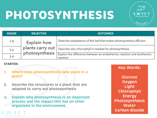 PHOTOSYNTHESIS - BIOENERGETICS | Swyft resources