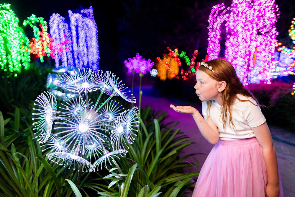 Epic Light Show Illuminates the Hunter