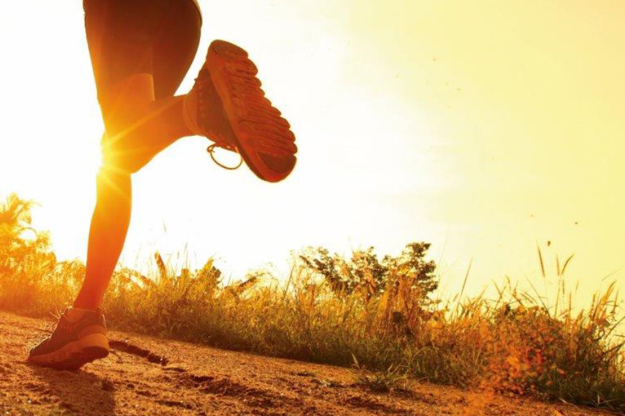 Follow Your Progress For Increased Motivation