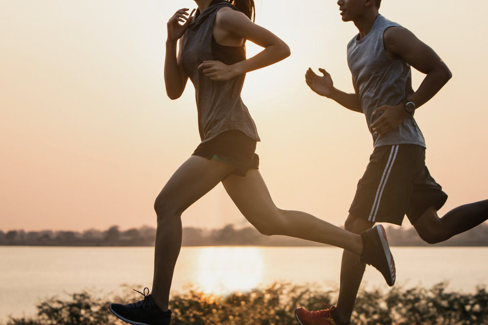 Enter Now and Start Training!