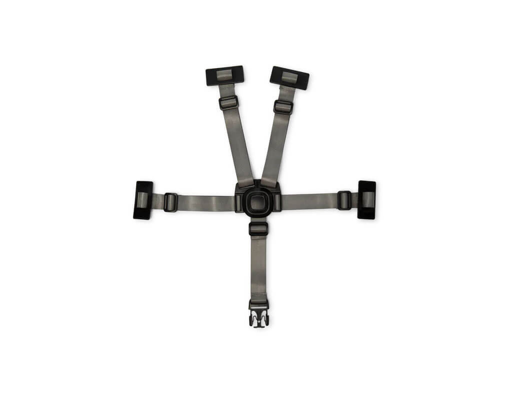 5-Point Harness Straps