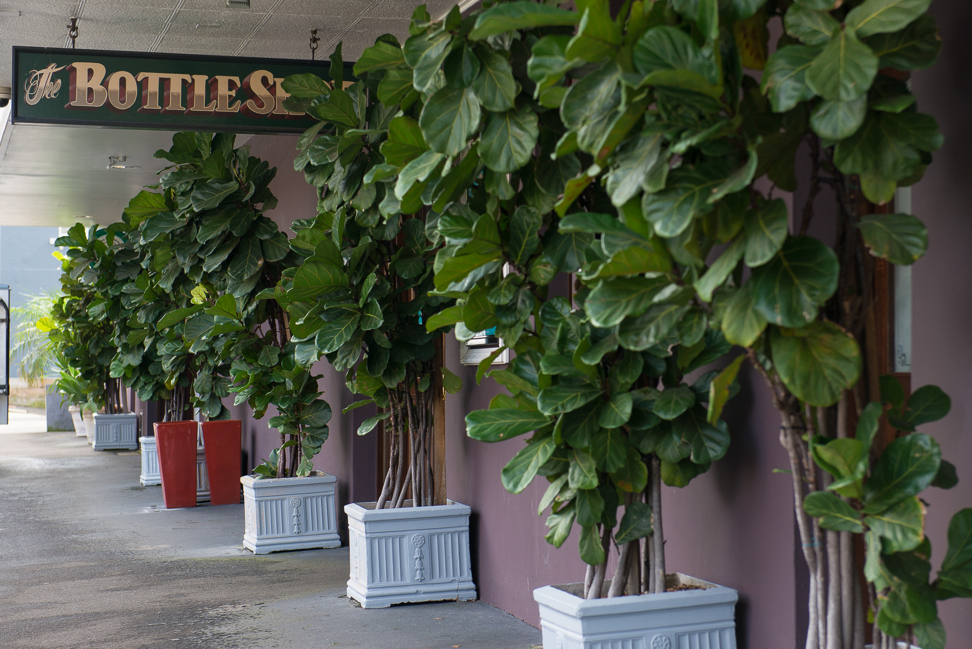 Royal Oak Balmain | More Than a Pub!