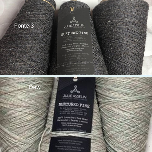 Julie Asselin Nurtured Fine | Mont Tricot