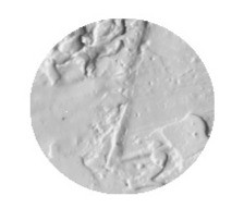 Marble Plaster Texture Medium ~ 4oz | Perfect Paints