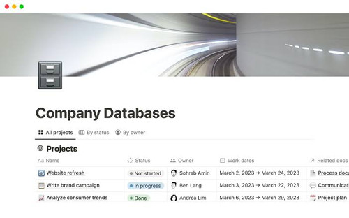 Professional Database | Professional David