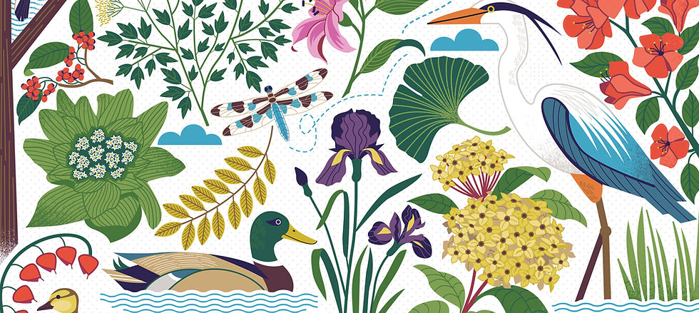 Lucie Rice Illustration and Design | Whimsical and Modern Imagery for ...