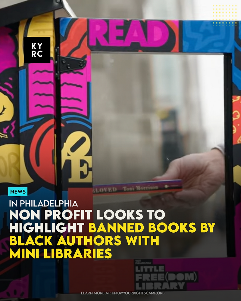 Non Profit Looks To Highlight Banned Books By Black Authors With Mini ...