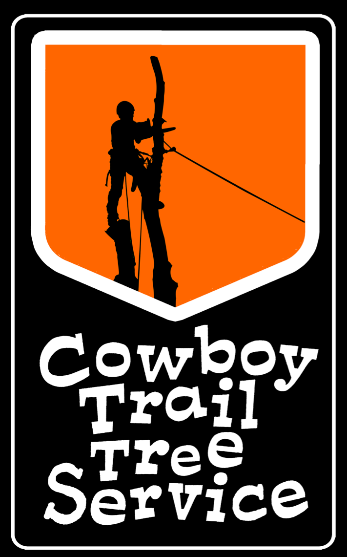 Cowboy Trail Tree Service | tree care services