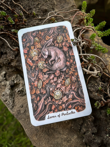 Oak, Ash & Thorn tarot deck | Three Trees Tarot