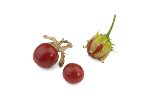 Litschi Tomate | BIO Saatgut