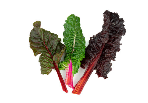 Mangold Mix Pink & Red Sensation | BIO Saatgut