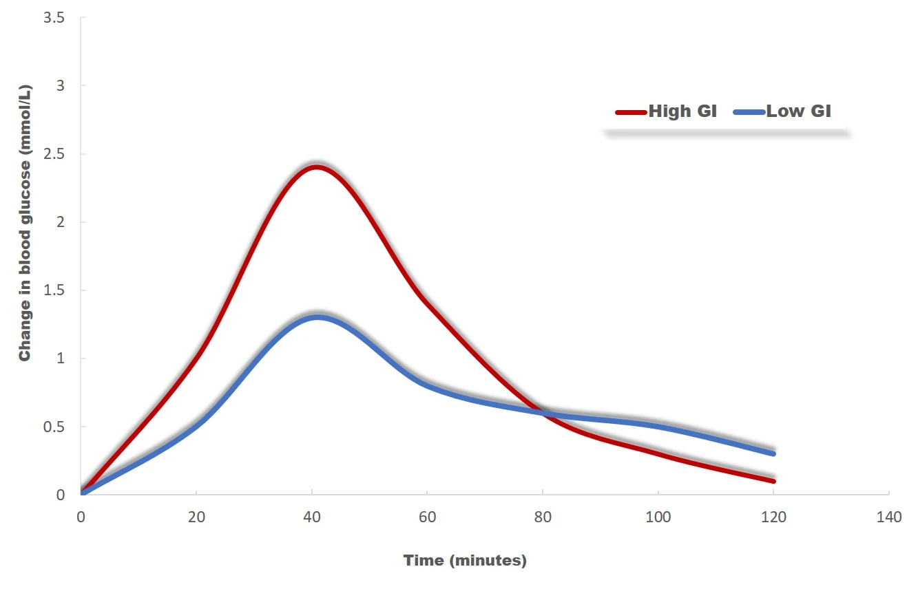 Understanding the Glycaemic Index (GI)
