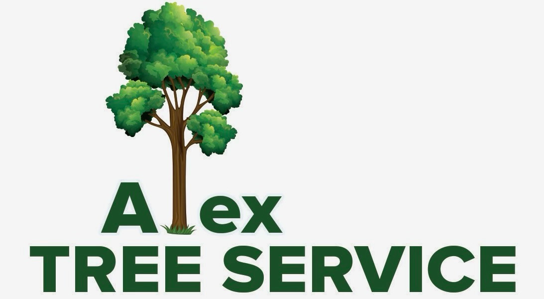 Alex Tree Service | Expert Tree Care | Pasadena, CA