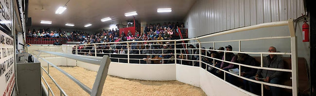 Annual Sale | Diamond K Ranch