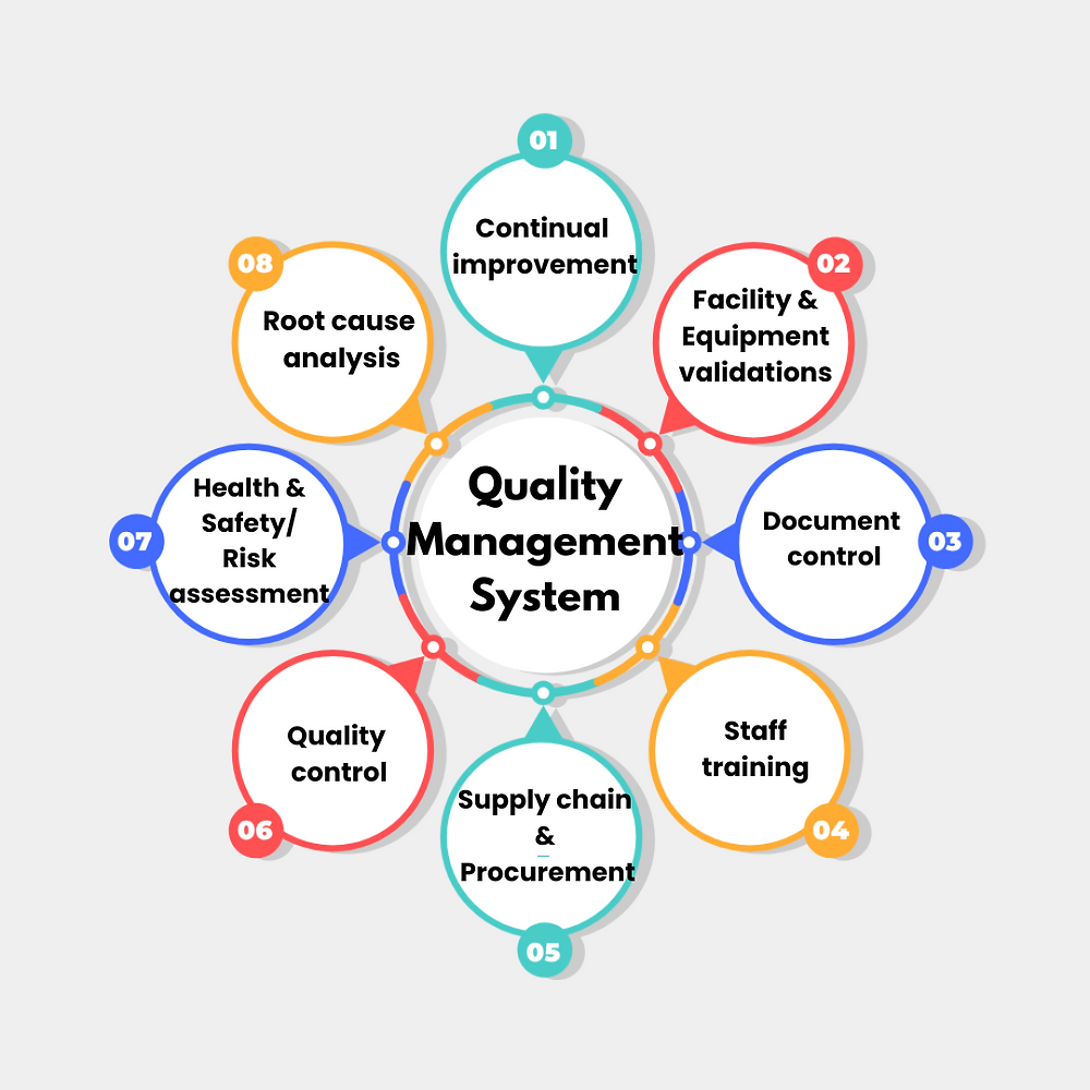 Achieving Excellence: The Significance of Quality Management System ...